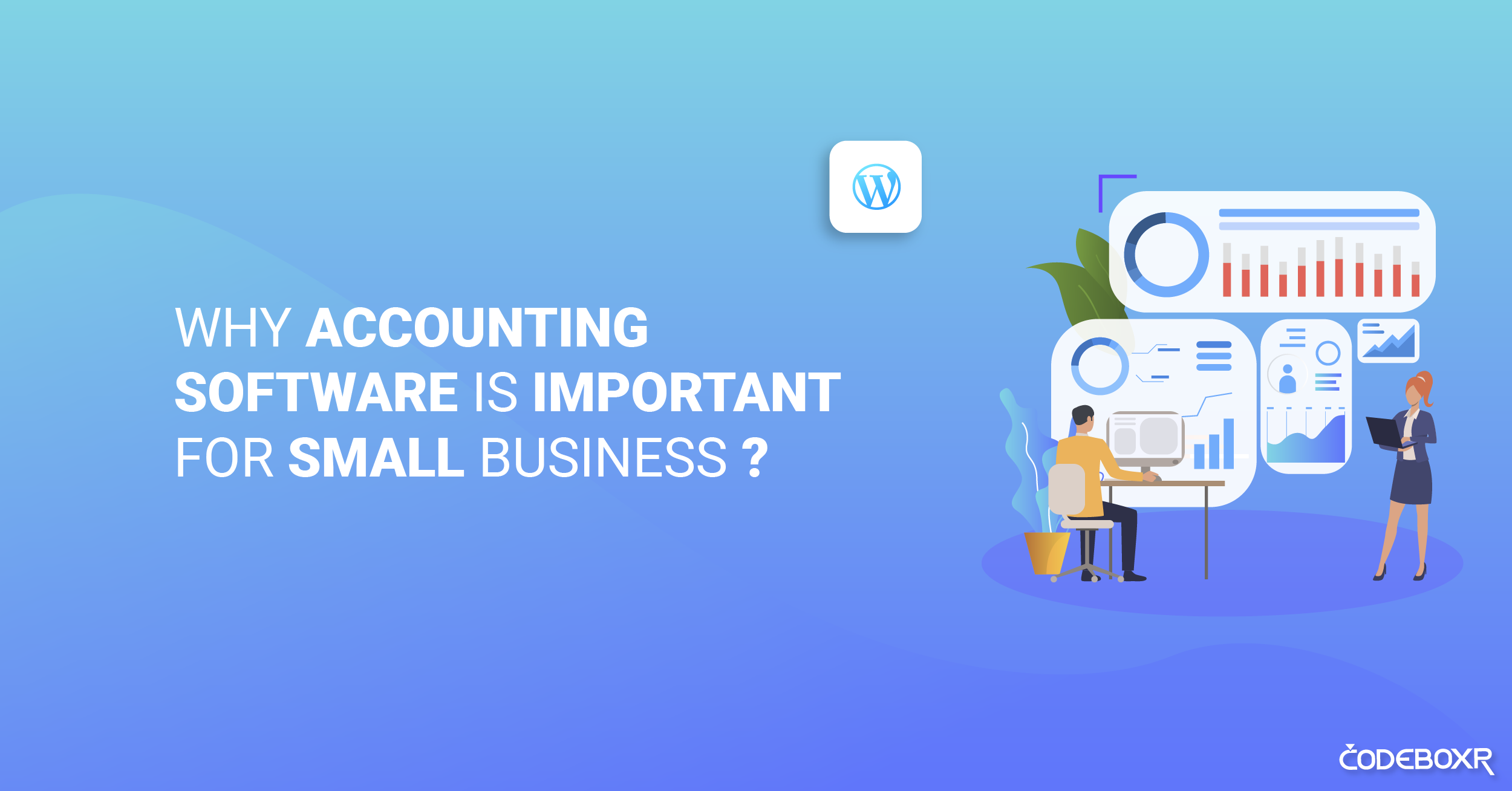 Why Accounting Software is Important for Small Business? | Codeboxr